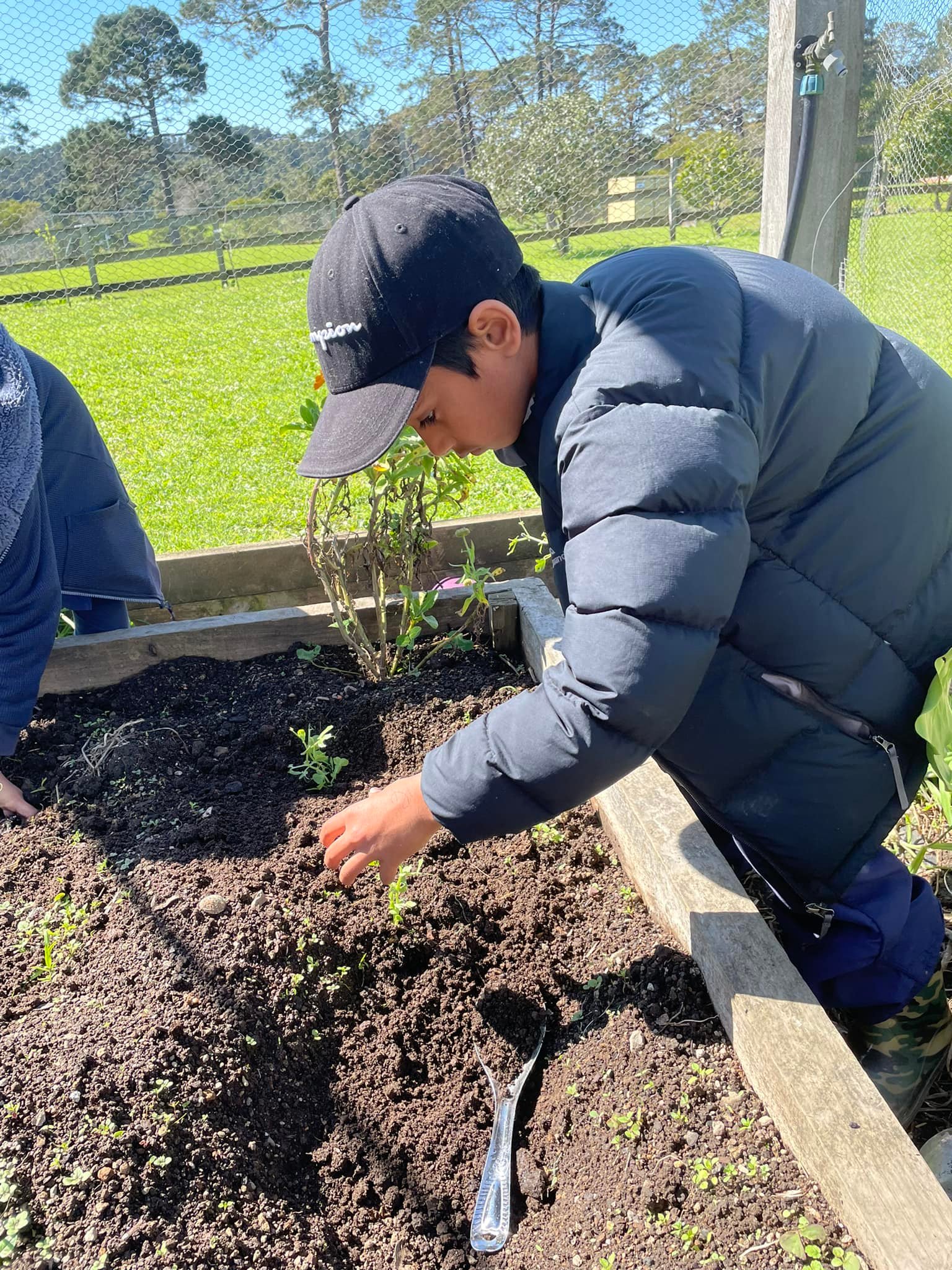 Lesson in Horticulture | Hare Krishna School